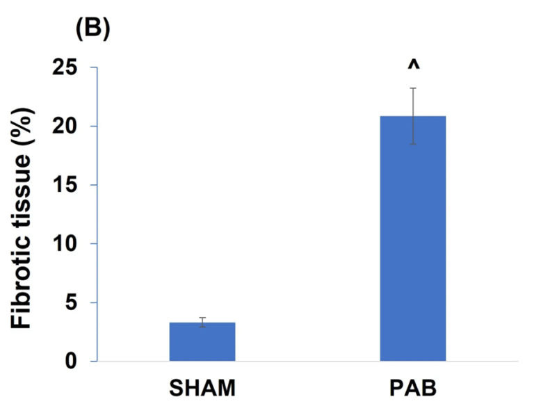 pab – CL Laboratory LLC